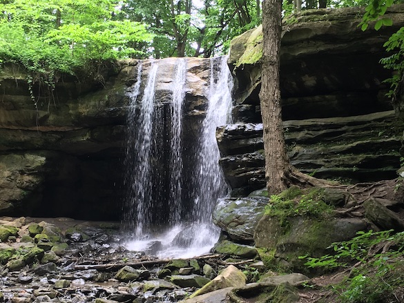 LOCAL ADVENTURES